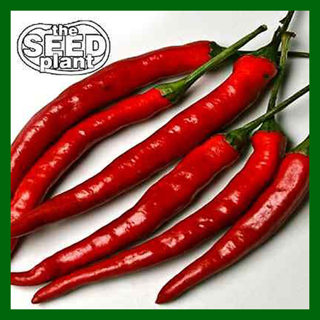 Cayenne Long Slim Pepper – The Seed Plant