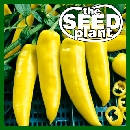 Hungarian Wax Hot Pepper – The Seed Plant